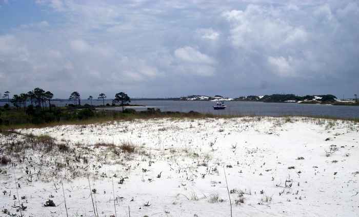 Duckworks - Next year I'll remember to take Monday off work